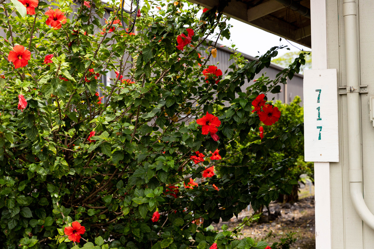 Atebara's Chips（アテバラ チップス） の詳細情報 | ALOCO（アロコ）